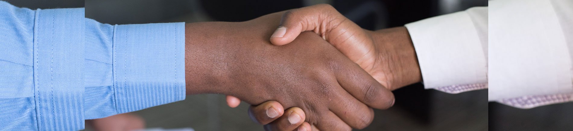 Internal Dissemination - Minority Success Network